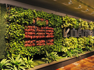 VGM Green Signage Walls @ Changi Airport - Elmich Pte Ltd