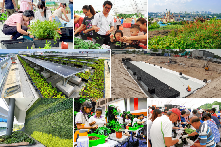 Towards A Greener Future | Elmich