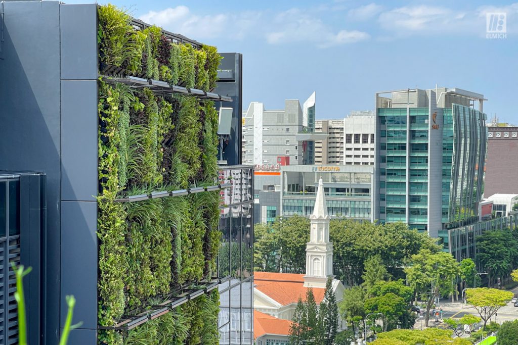 Instagrammable Green Walls in Luxury Hotel | Pullman Singapore Hill Street