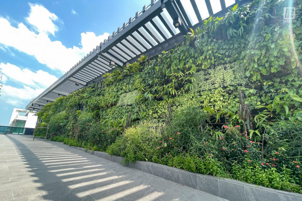 Instagrammable Green Walls in Luxury Hotel | Pullman Singapore Hill Street